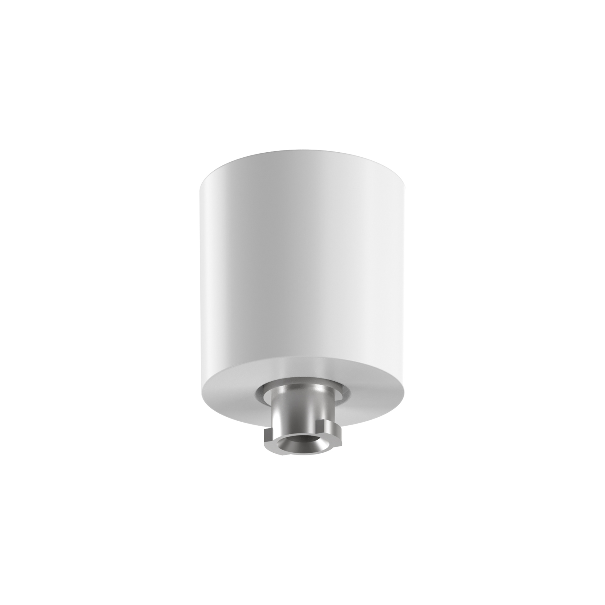 C1 Mono Spot Ceiling Small Ø 35 03.1221.EQ | Flos