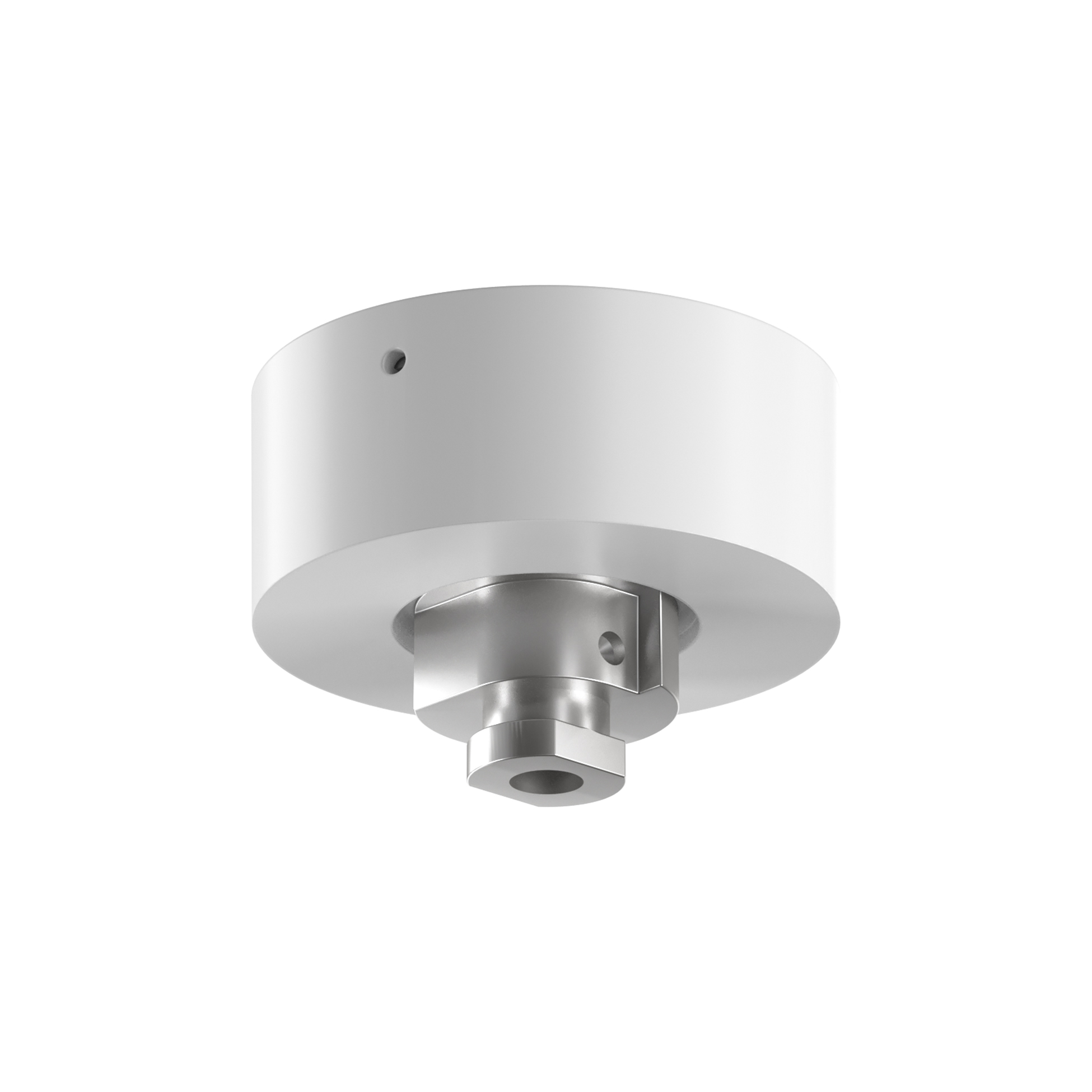 C1 Mono Spot Ceiling Large Ø 56 | Flos