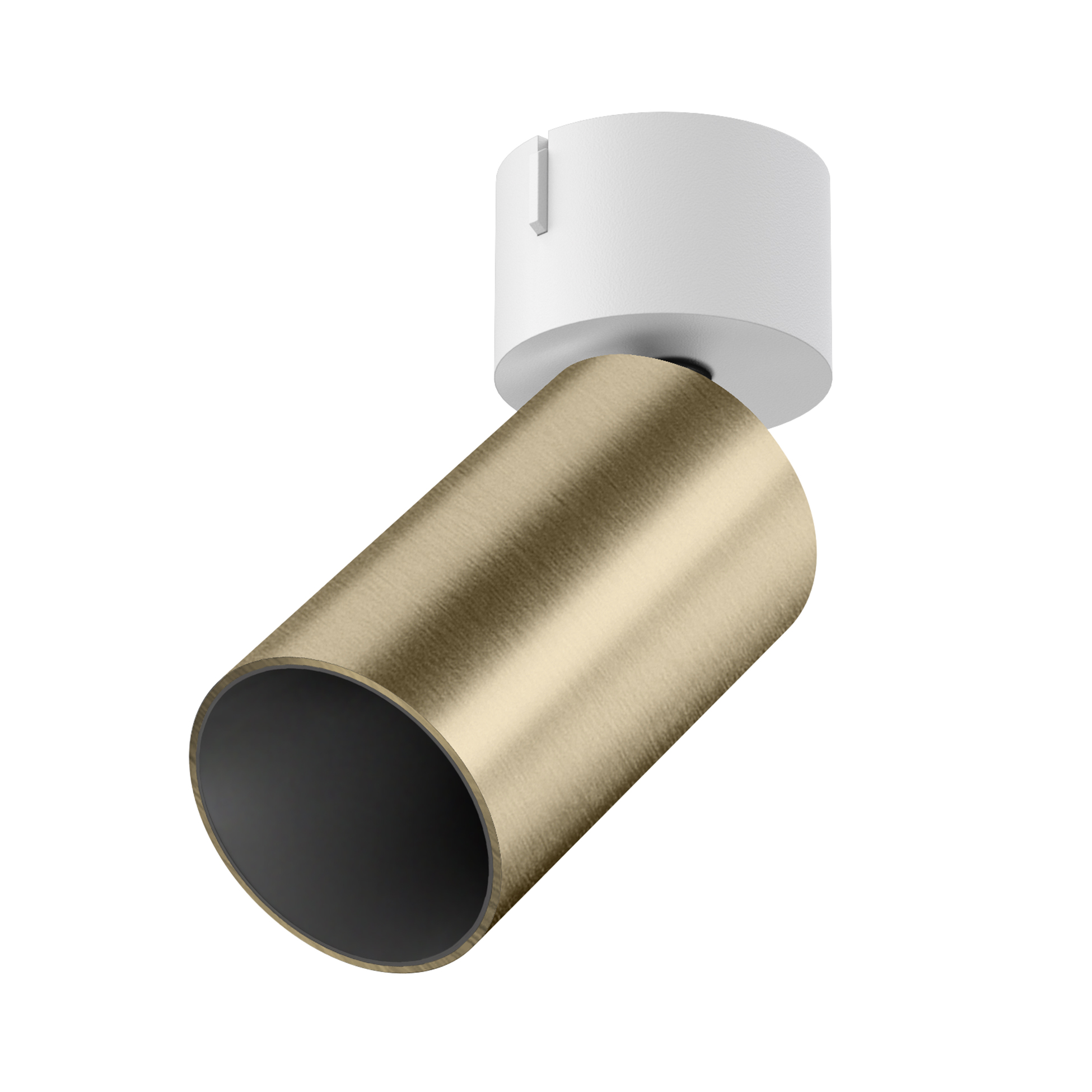 Light Shadow Pro Ø45 Push Spot 05.9504.ES | Flos