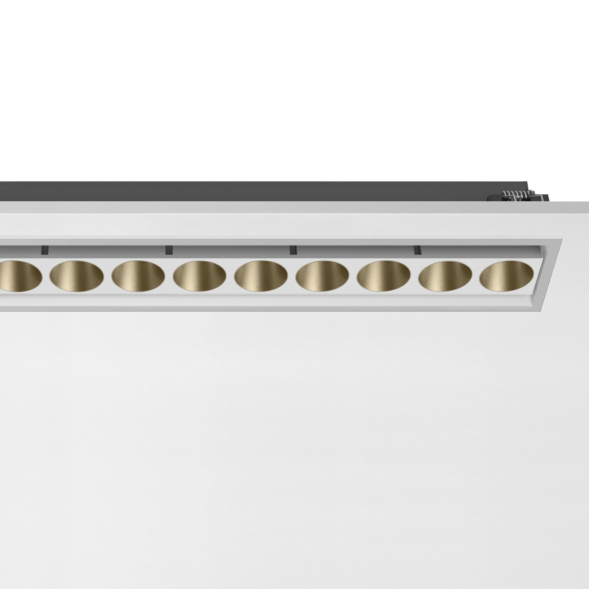 Light Shadow Adjustable Trim Dali Version 12 Spots Optic Wide Flood 05. ...