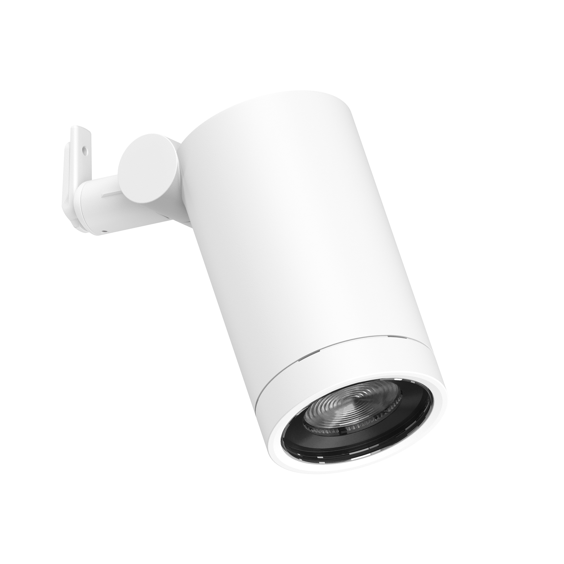 Spine T 2 Pro Elliptical 1 F02652FA001 | Flos