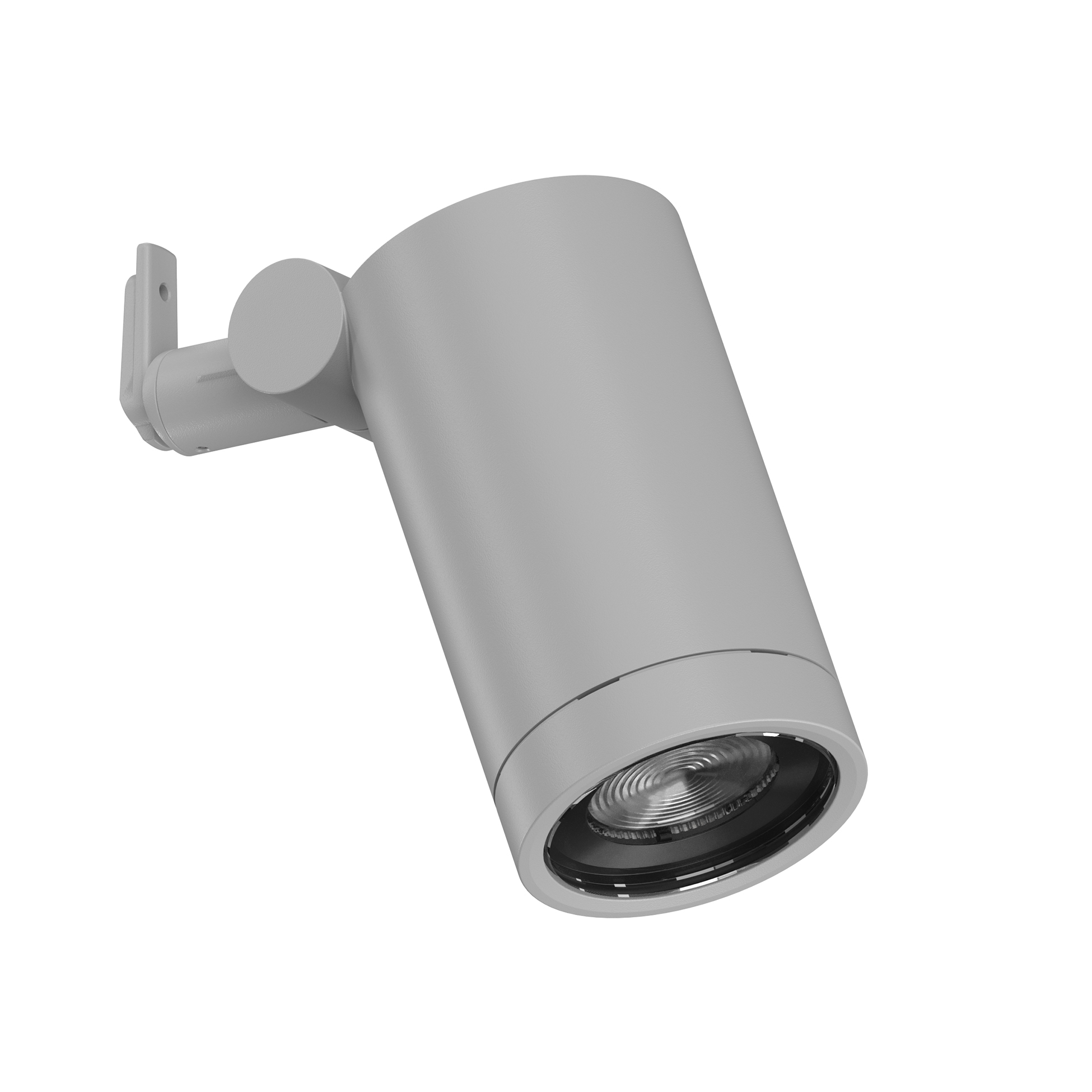 Spine T 2 Pro Elliptical 2 F02654GA006 | Flos