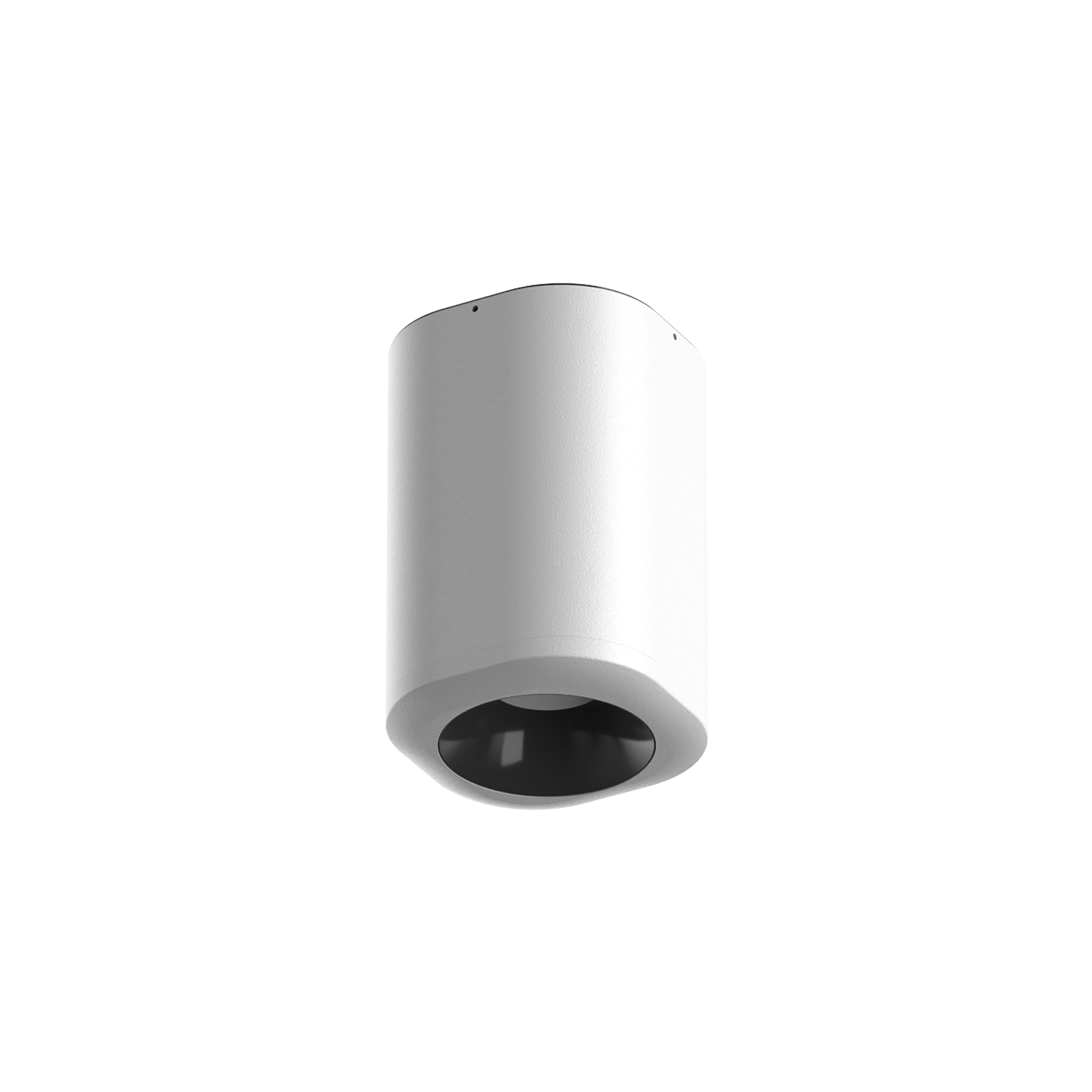 Pointbreak Ceiling 2 Optic Flood F023M33A001 | Flos